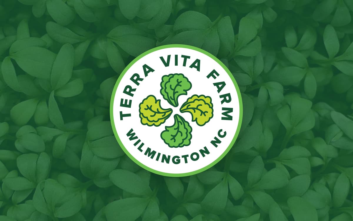 Branding - Wilmington Design Co.