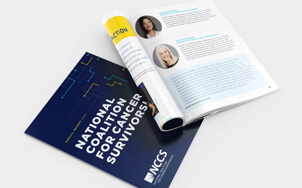 Annual Report Design for NCCS by WDC